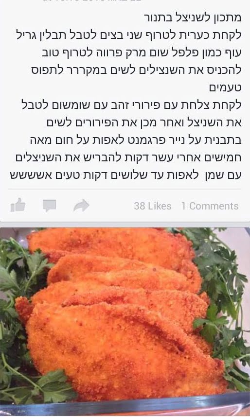 מאסטר מתכונים | שניצל בתנור